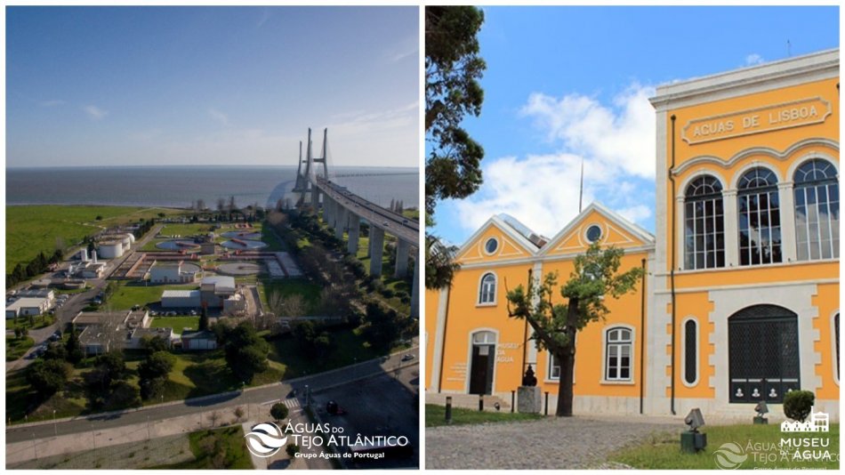 Tejo Atlântico promove curso de “Educação Ambiental para a ...